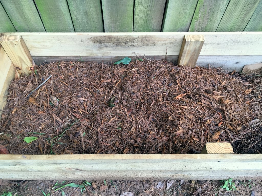 Lasagna Gardening: How to Layer a Raised Garden Bed