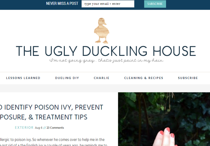 Next Chapter • Ugly Duckling House