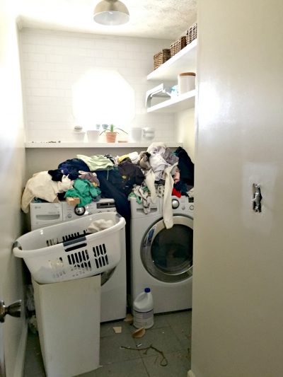 A Modern and Plant-Filled Laundry Room Makeover • Ugly Duckling House