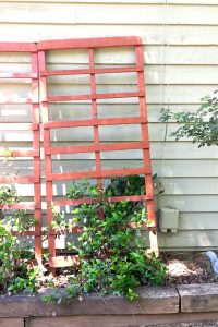So Clever! A DIY Garden Trellis Made From Repurposed Materials • Ugly ...