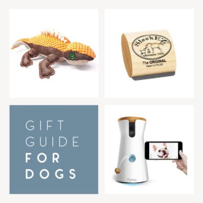 11 Products for Busy Dog Owners That Make Life a LOT Easier