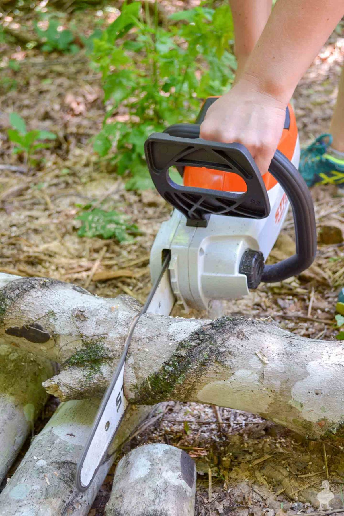 How to Cut Down a Small Tree • Ugly Duckling House