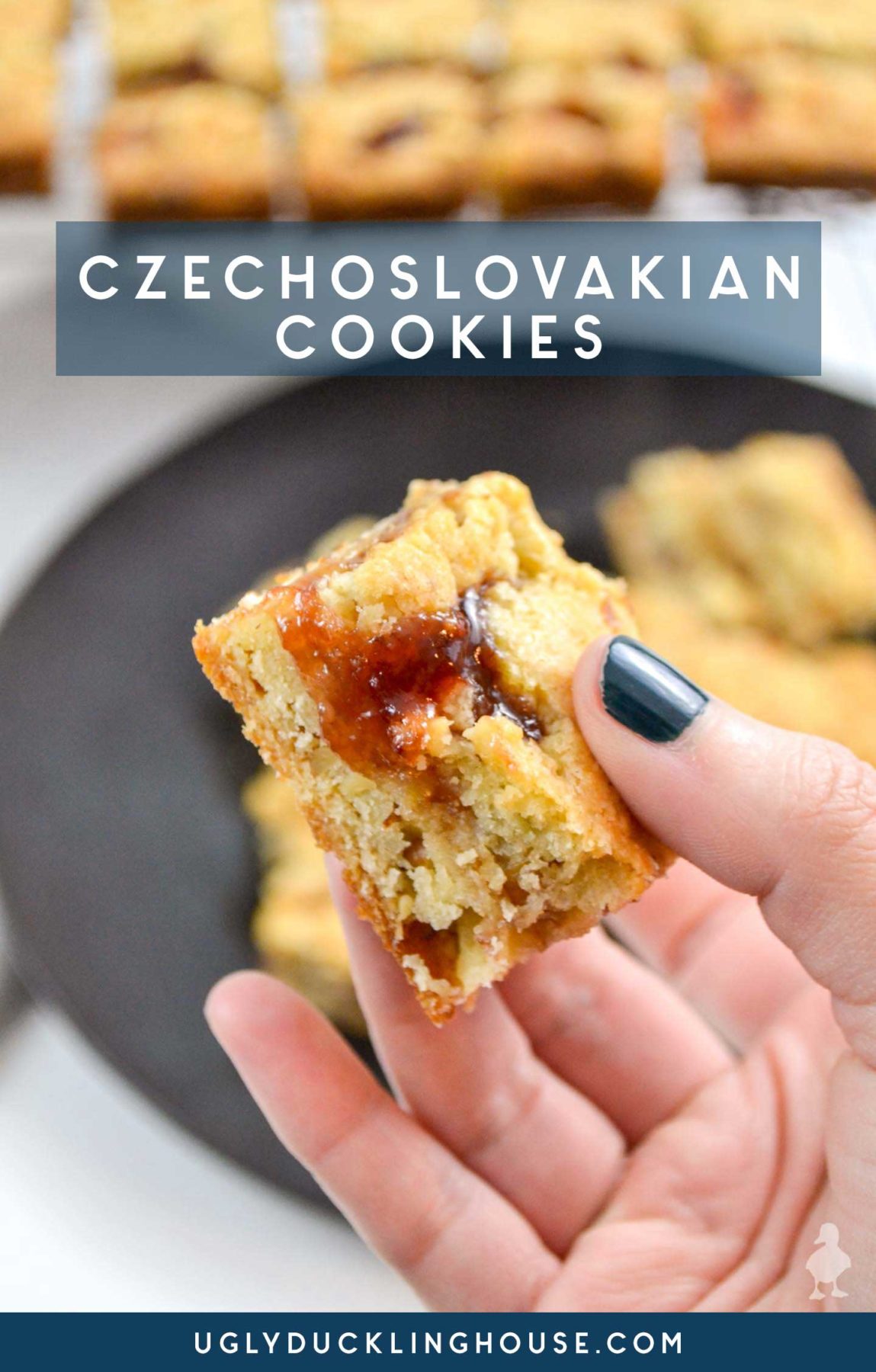 Czechoslovakian Cookies | Strawberry Walnut Cookie Bars • Ugly Duckling ...