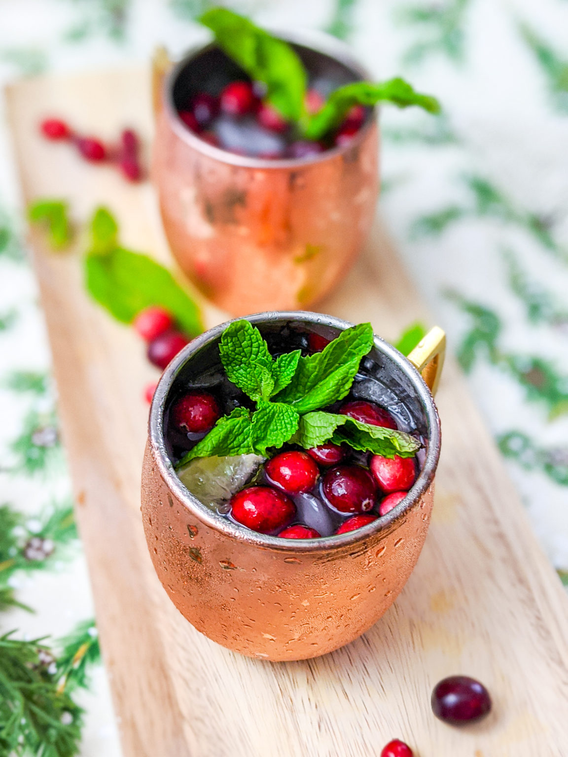 Spiced n' Sparkling Christmas Moscow Mule Recipe • Ugly Duckling House