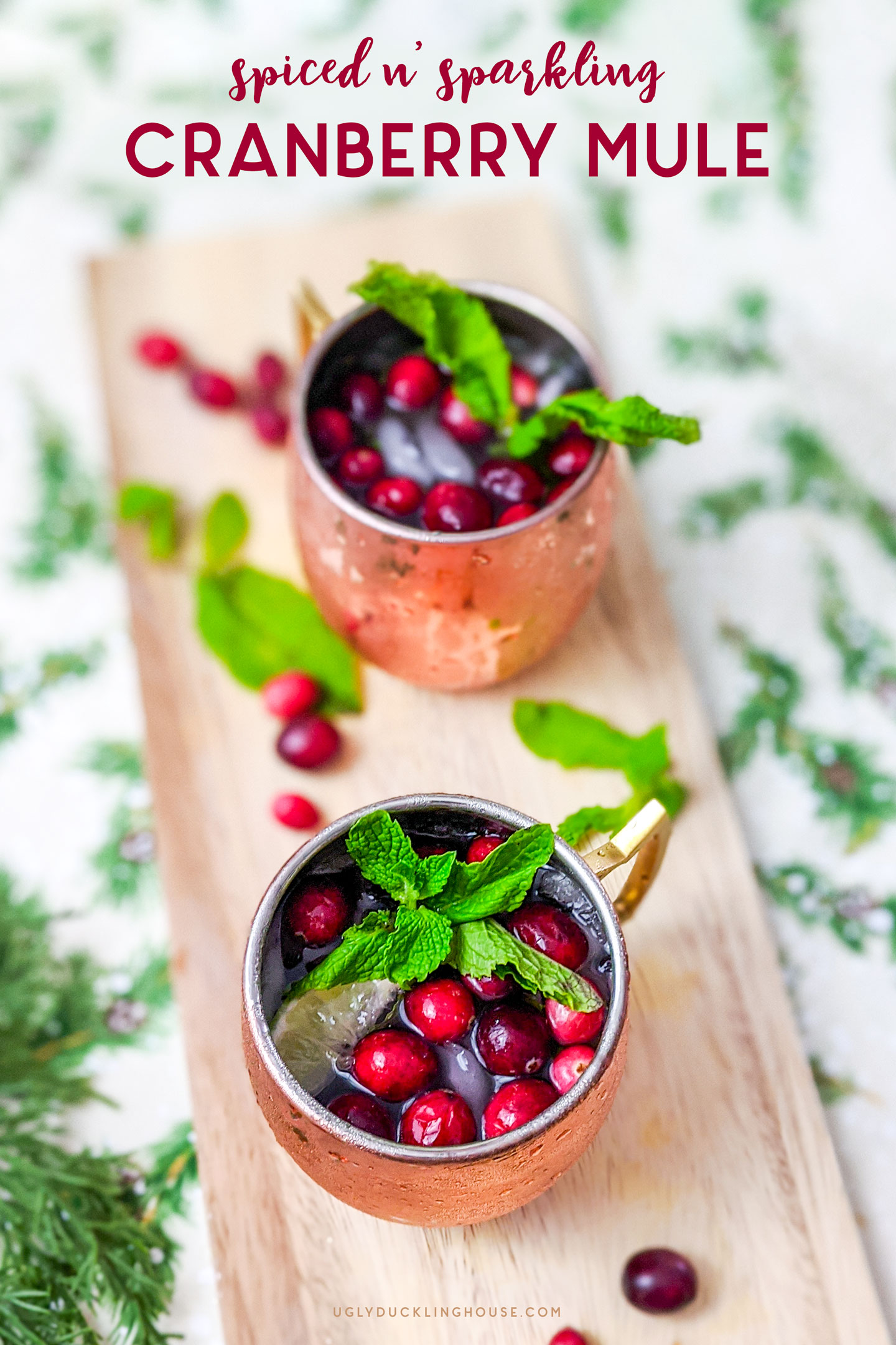 Spiced n' Sparkling Christmas Moscow Mule Recipe • Ugly Duckling House