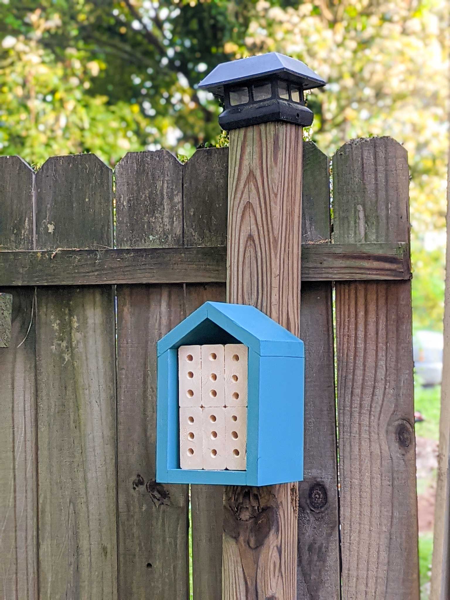 How to Build a Better Bee House That Works • Ugly Duckling House