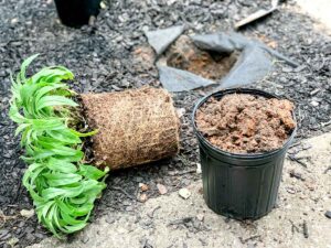 How to Build a Beautiful Flower Bed for Tons of Curb Appeal • Ugly ...