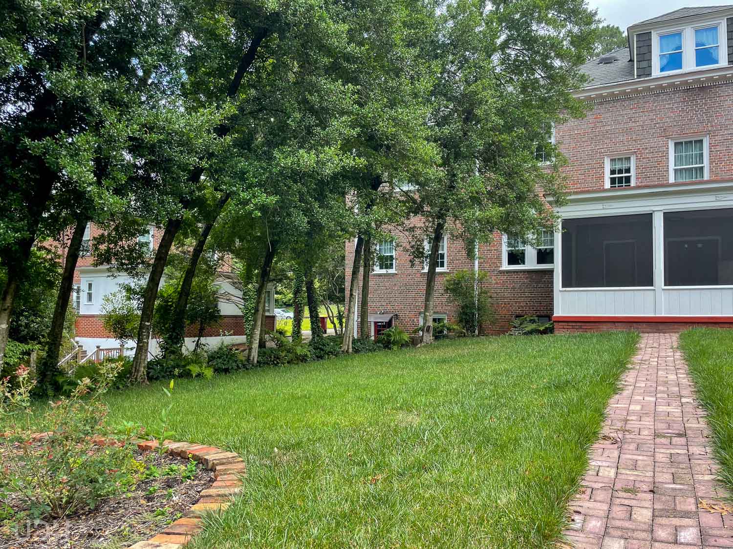 Tiered Back Yard • Ugly Duckling House